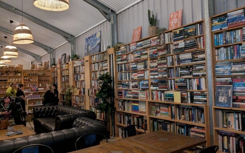 Navina’s Novel Idea: Chapter One of Desert Moon Begins – Glen Innes News